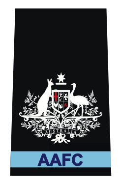 Aafc Rank Slide Quiz (ordered) Quiz - Quiz, Flashcards & Trivia