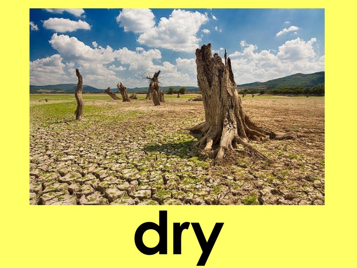 Adjectives Flashcards by ProProfs